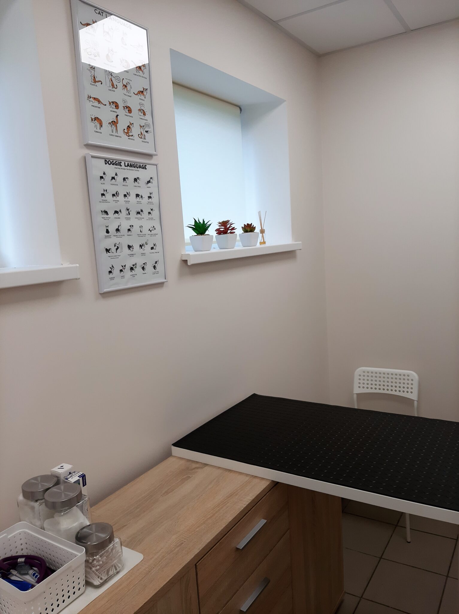 vetloftas.lt – Veterinarijos klinika